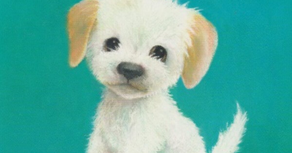 The Story Puppy • A.M.Heath Literary Agency